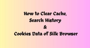 How to Clear Cache, Search History & Cookies Data of Silk Browser? [2025]