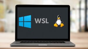 How to Enable WSL on Windows 11 (Step-By-Step Guide For Beginers)