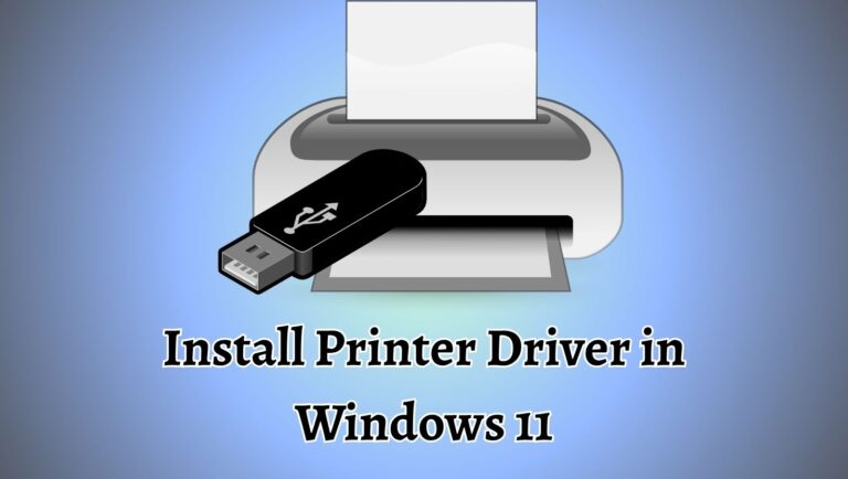 How to Install or Update a Printer Driver in Windows 11? [Full Guide]