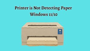 Printer is Not Detecting Paper Windows 11/10 [Fixed]